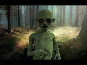 Duendes reales visto por personas en todo el mundo – Historias Y Misterios